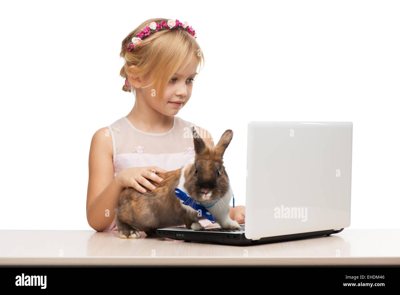 Girl and brown bunny with the computer Stock Photo - Alamy
