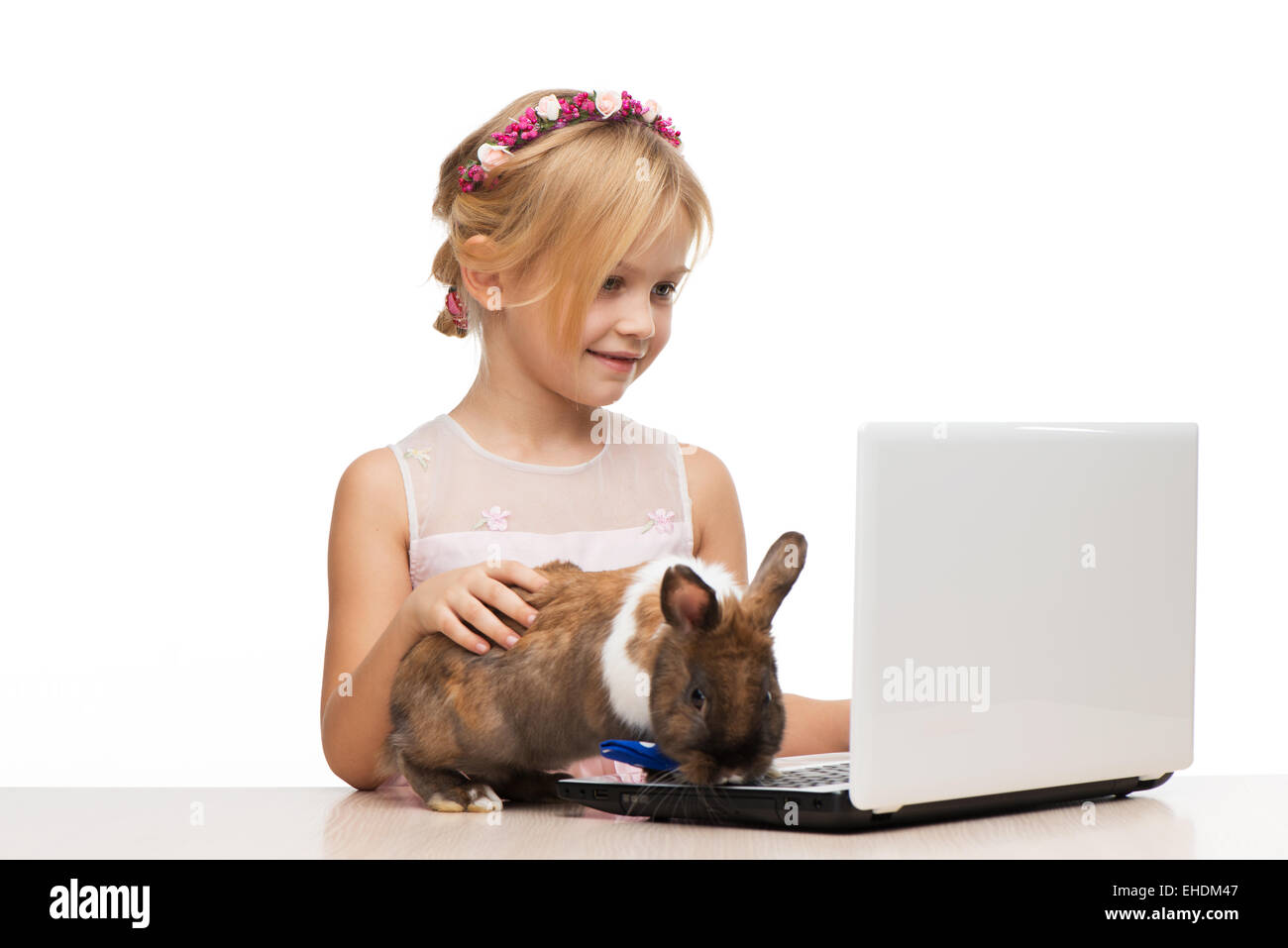 Rabbit computer hi-res stock photography and images - Alamy
