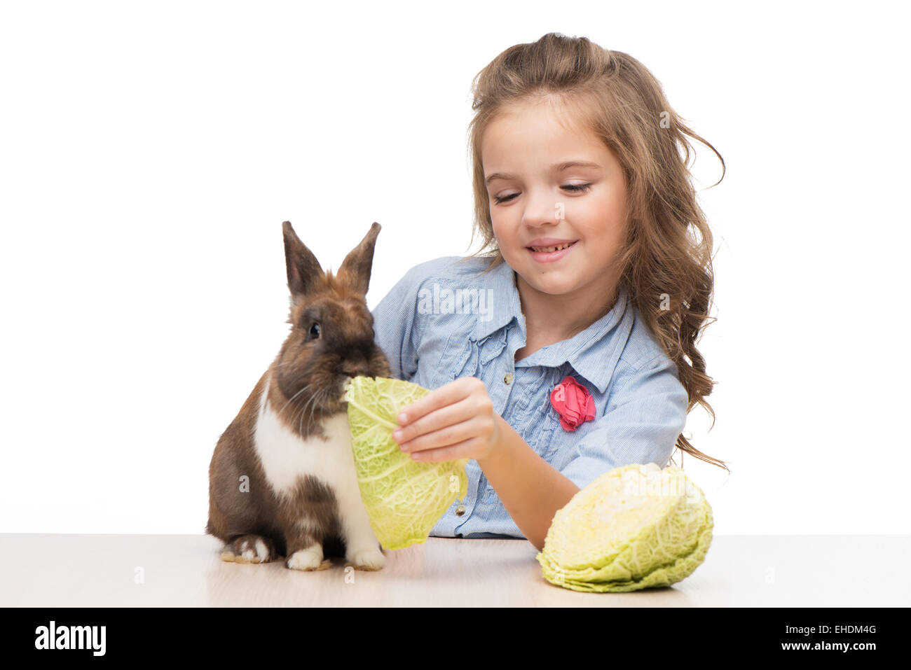Girl feeding bunny with cabbage Stock Photo - Alamy