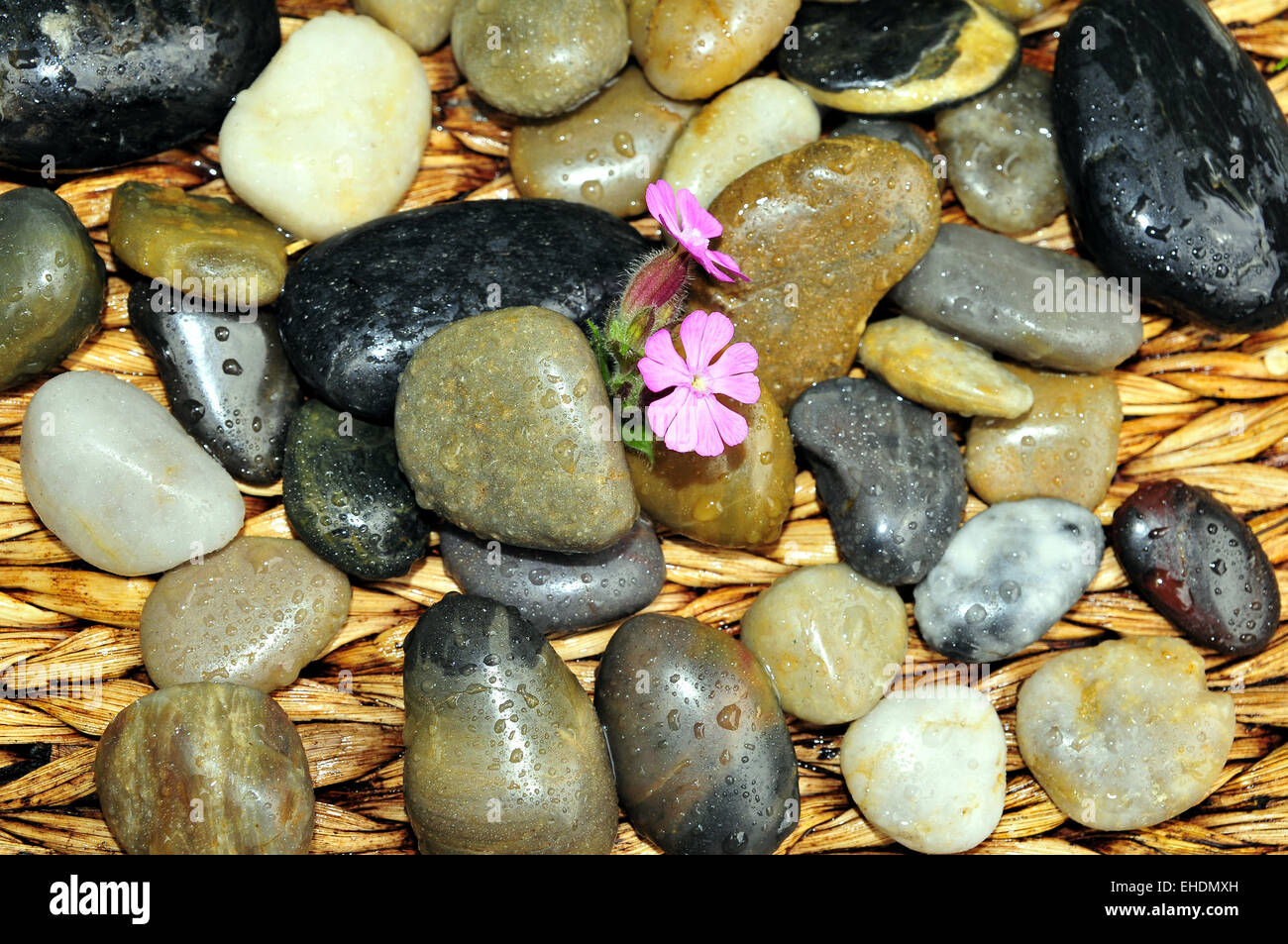 Wellness Collage Water drops stone Stock Photo - Alamy