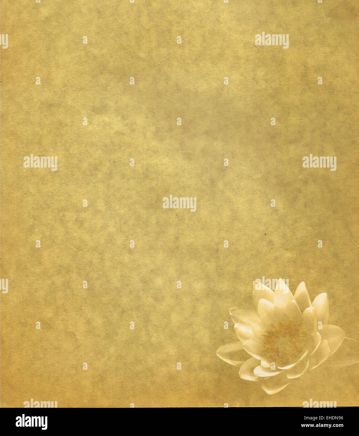 Leaf of an old paper Stock Photo - Alamy