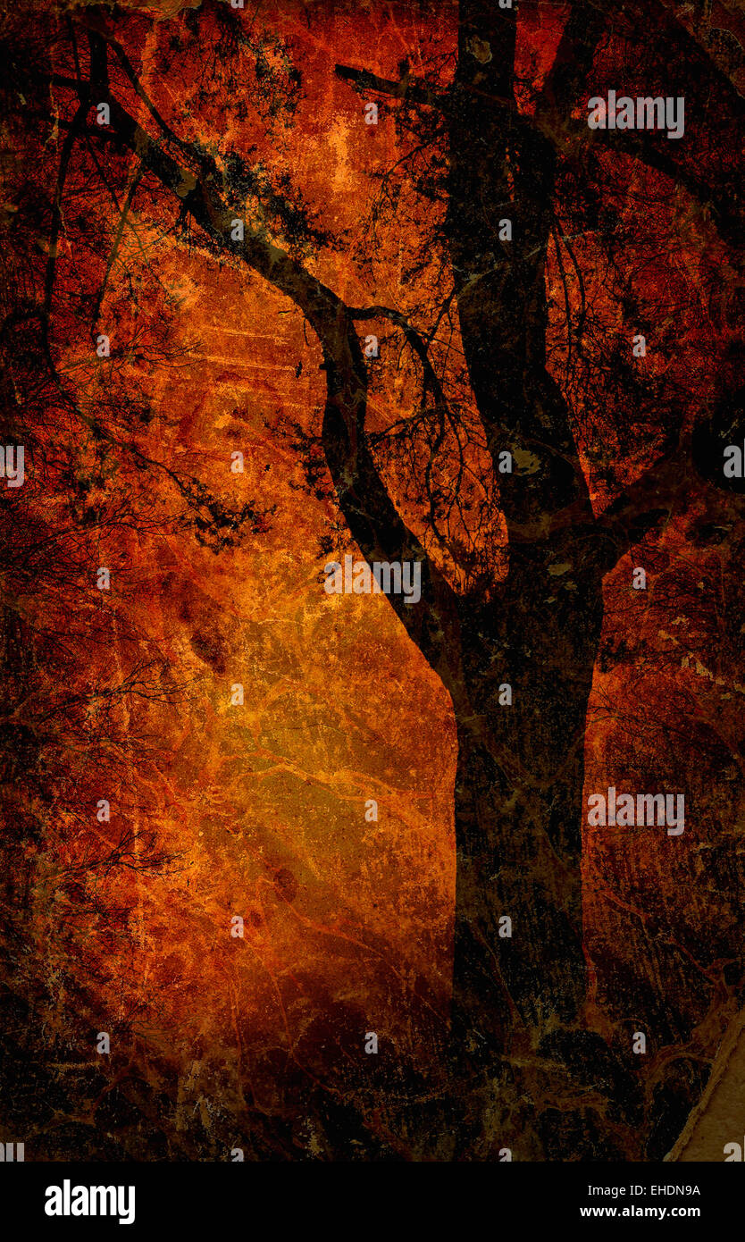 Dark background with a silhouette of a tree Stock Photo - Alamy