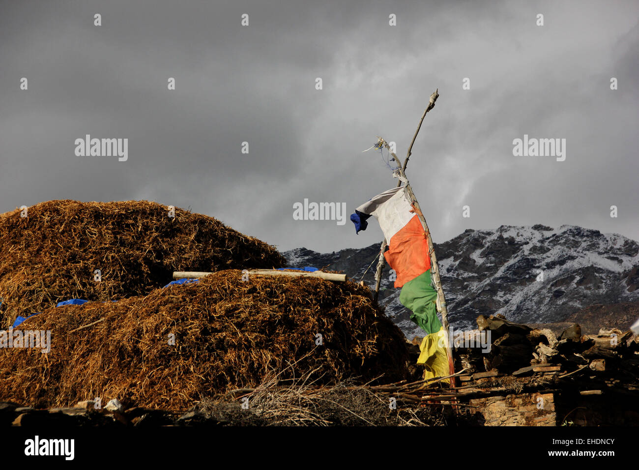 Prayer Flags in the Wind Stock Photo - Alamy