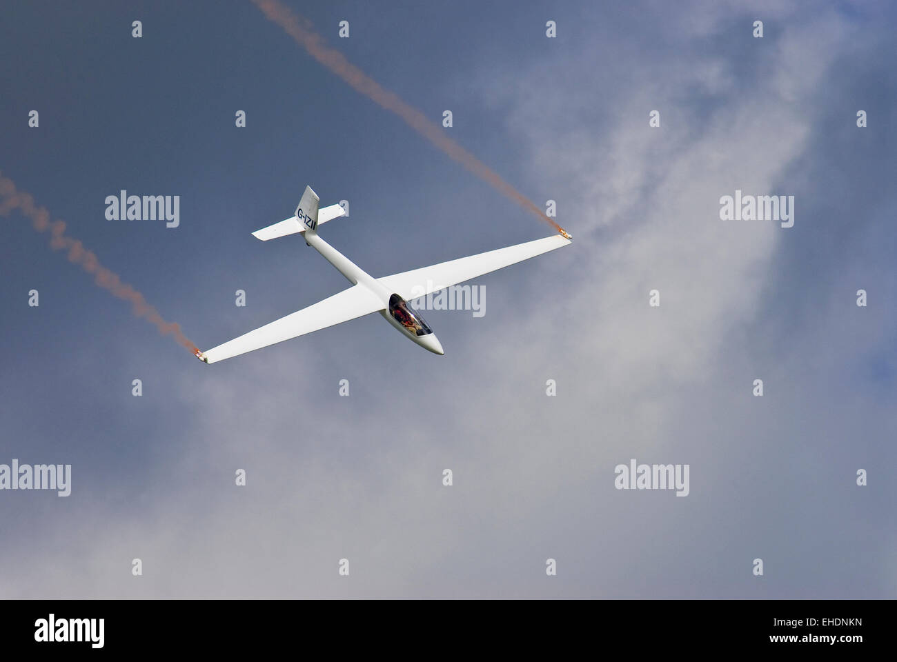 Swift glider hi-res stock photography and images - Alamy