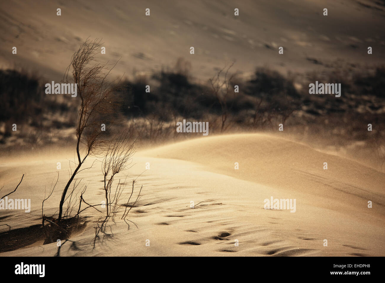 Sand storm in desert Stock Photo - Alamy