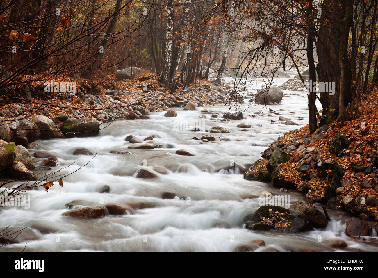 Stream in autumn forest Stock Photo - Alamy