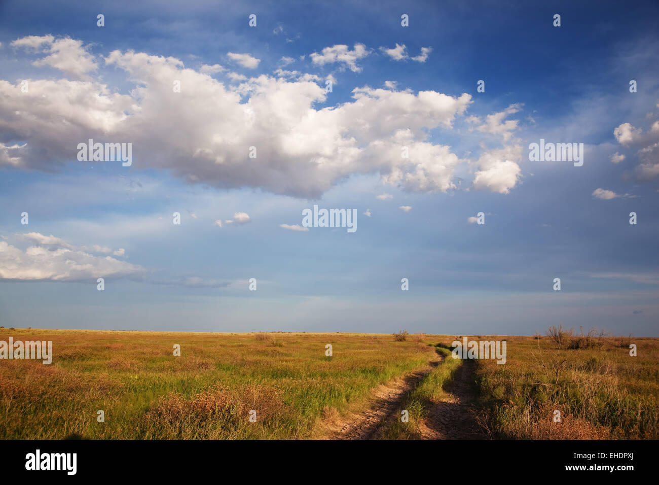 Road in steppe hi-res stock photography and images - Alamy