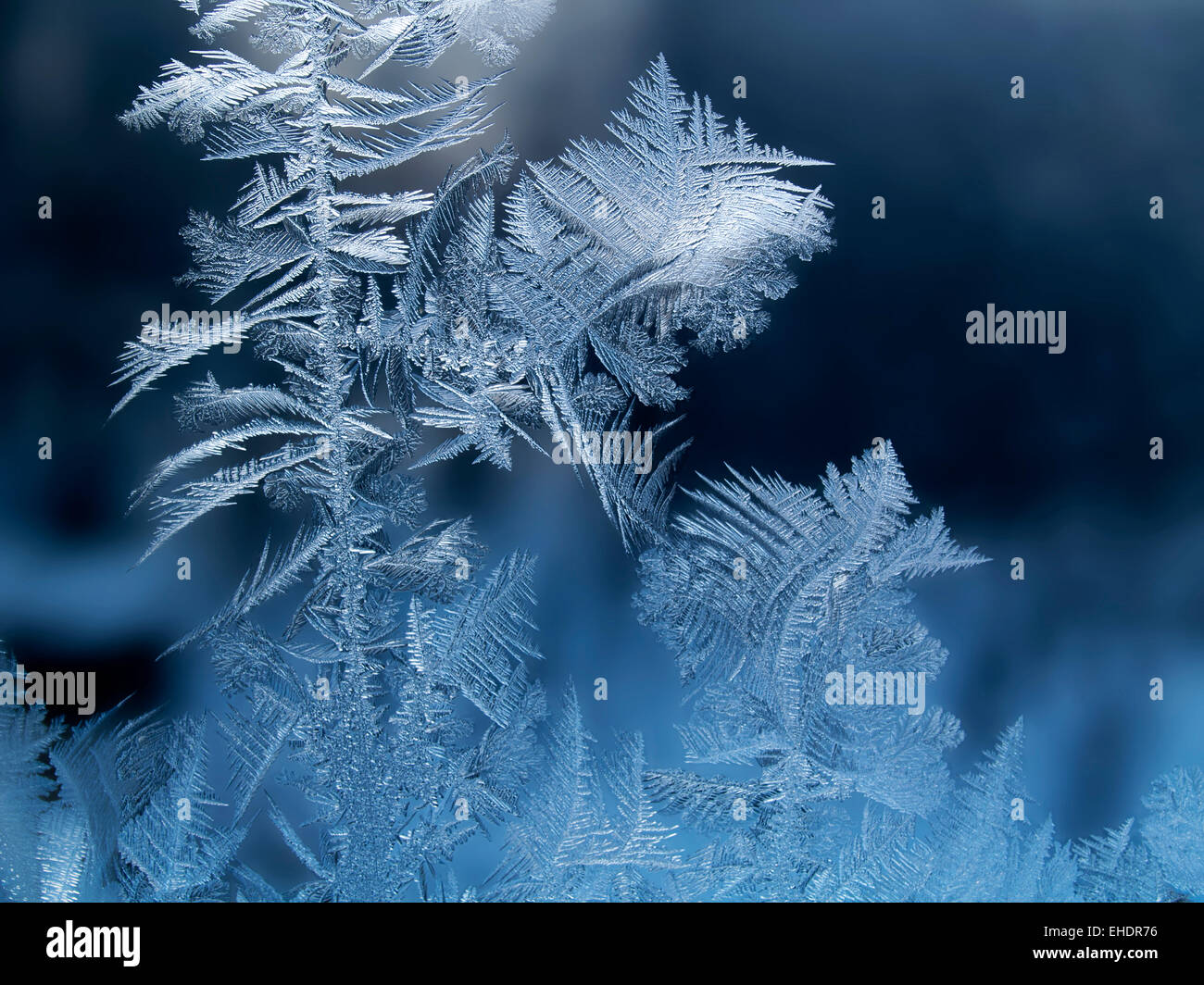 Frost on the glass hi-res stock photography and images - Alamy