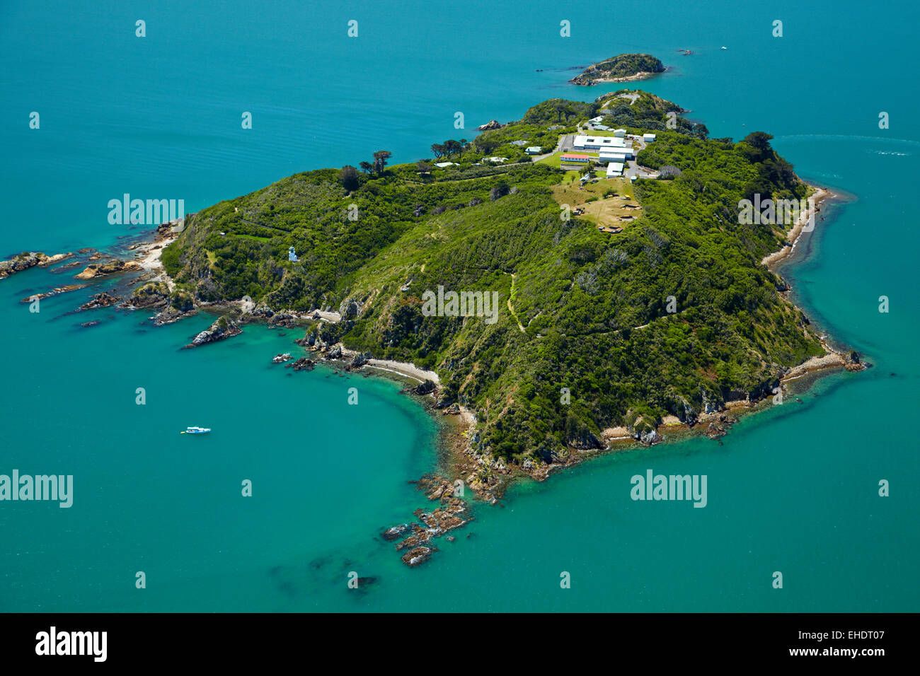 Matiu / Somes Island, Wellington Harbour, Wellington, North Island, New ...