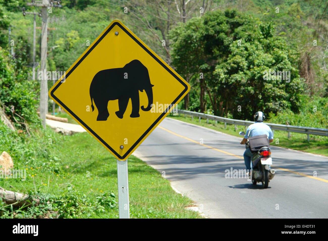 Elephant Road Sign High Resolution Stock Photography and Images - Alamy
