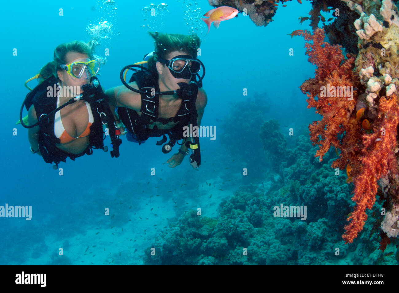 two divers on a coral reef Stock Photo - Alamy