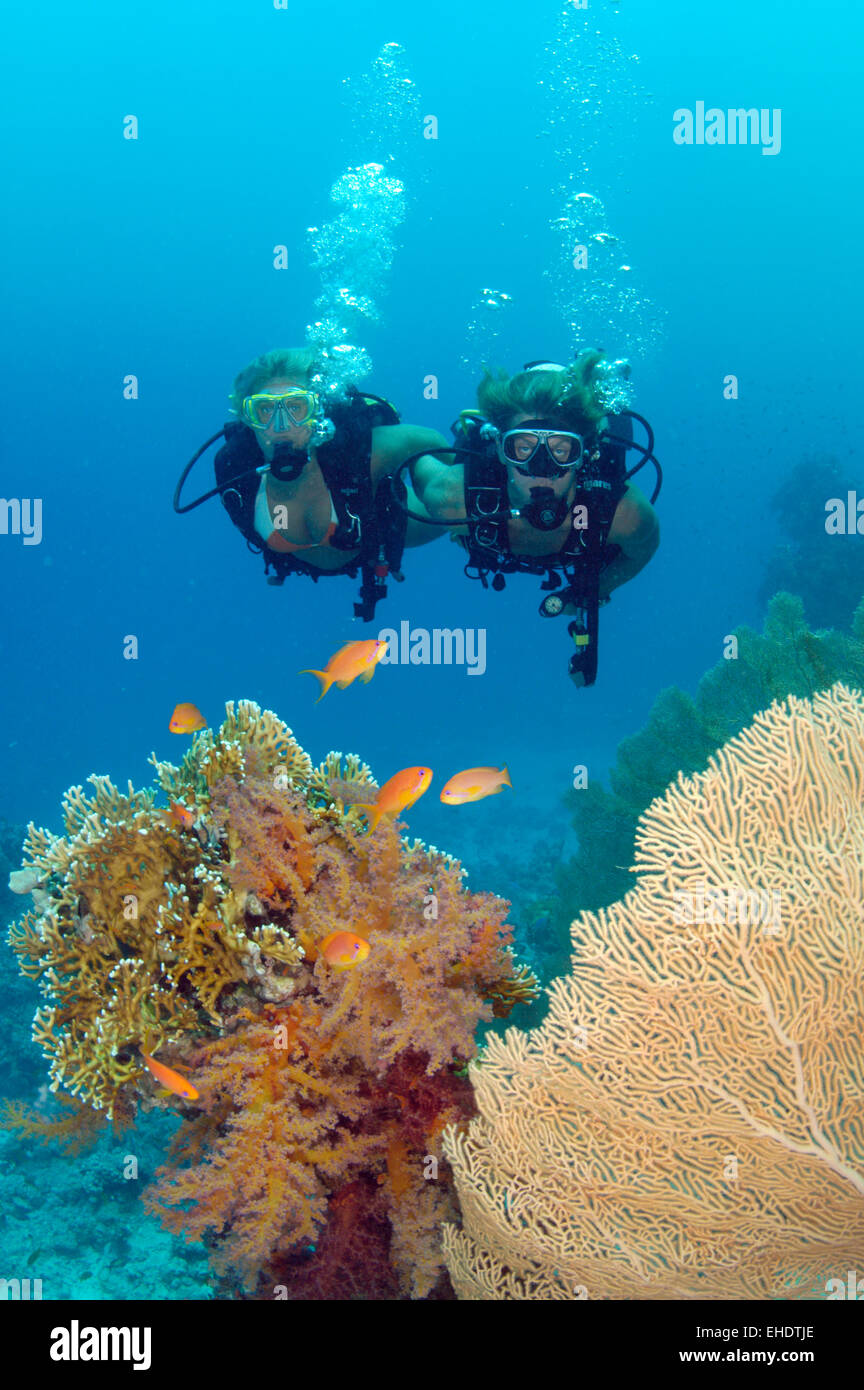 two divers on a coral reef Stock Photo - Alamy