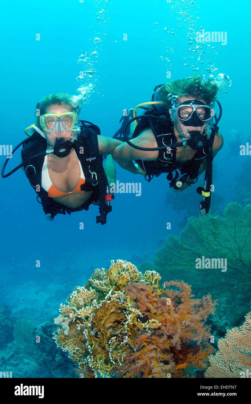 two divers on a coral reef Stock Photo - Alamy