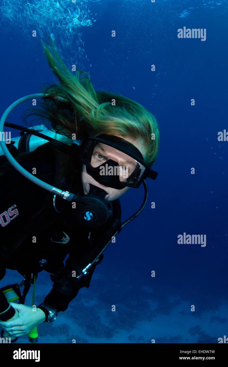 Lady Scuba Diver Stock Photos & Lady Scuba Diver Stock Images - Alamy