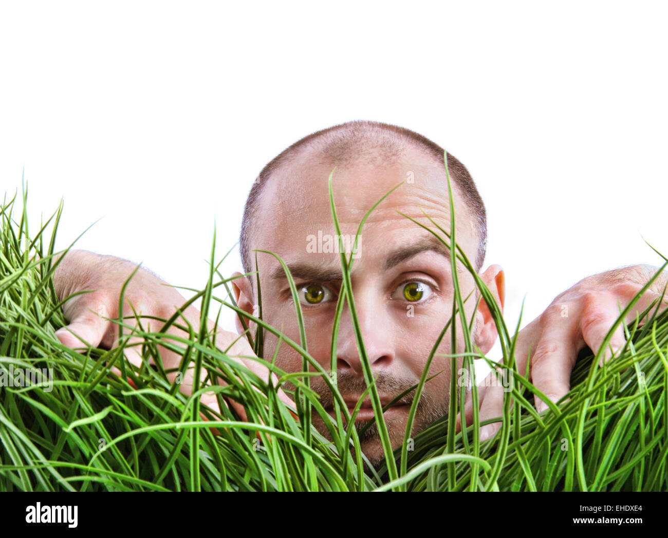 Man peering through tall grass Stock Photo - Alamy