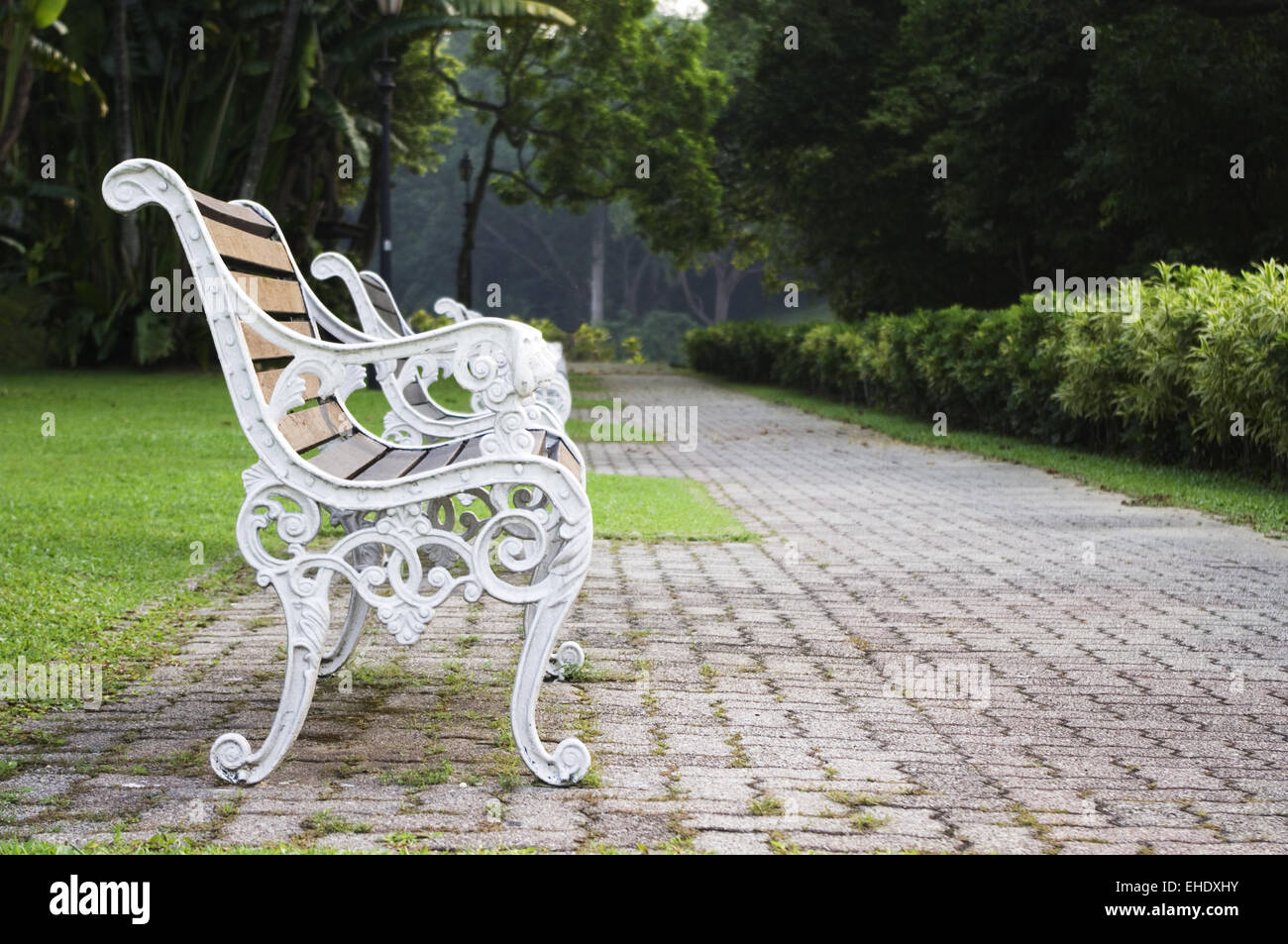 Empty bench in a park Stock Photo - Alamy