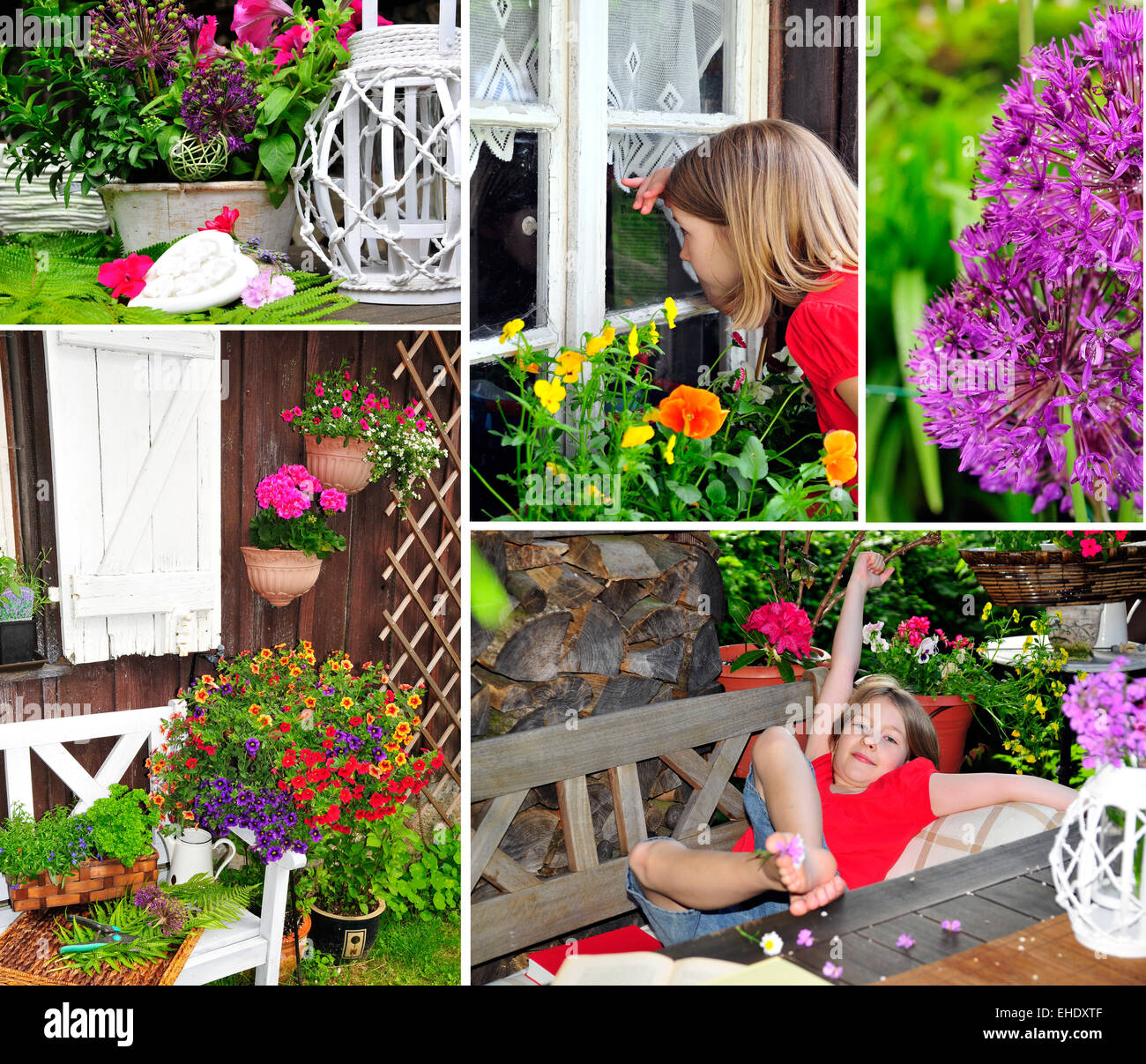 Garden Collage Water drops stone Stock Photo - Alamy
