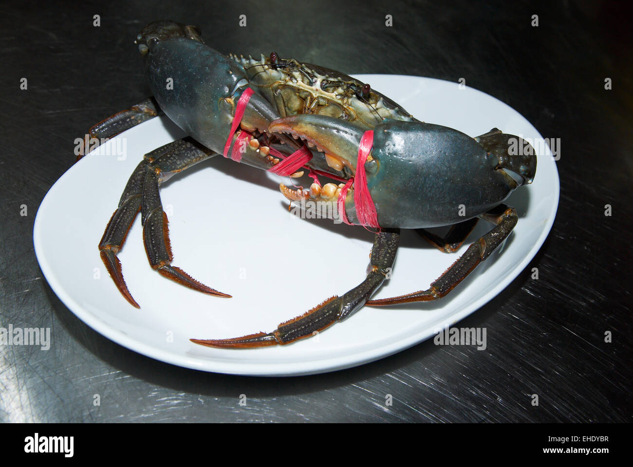 Big alive crab on kitchen of the restaurant Stock Photo - Alamy