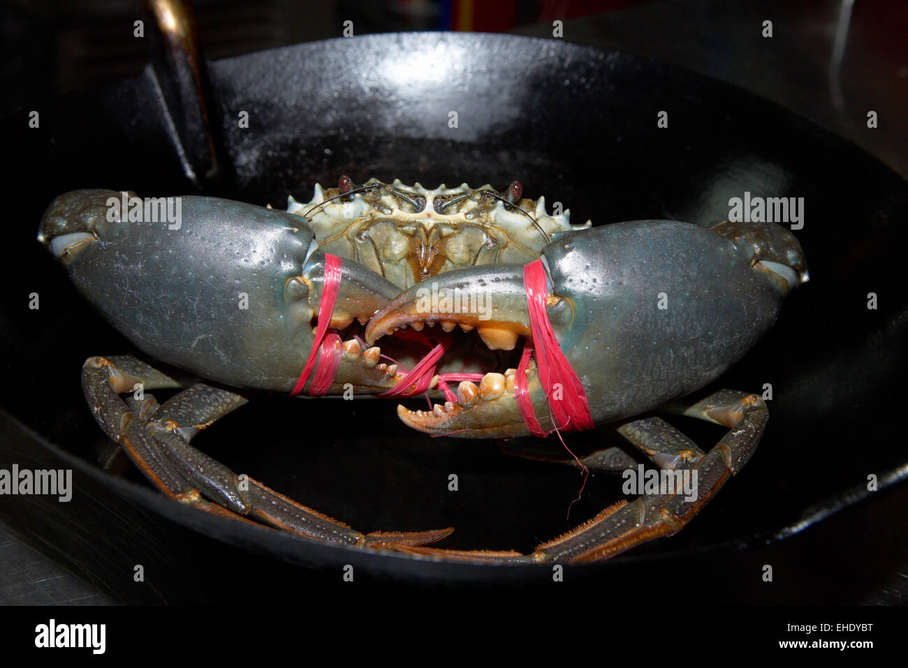 Big alive crab on kitchen of the restaurant Stock Photo - Alamy