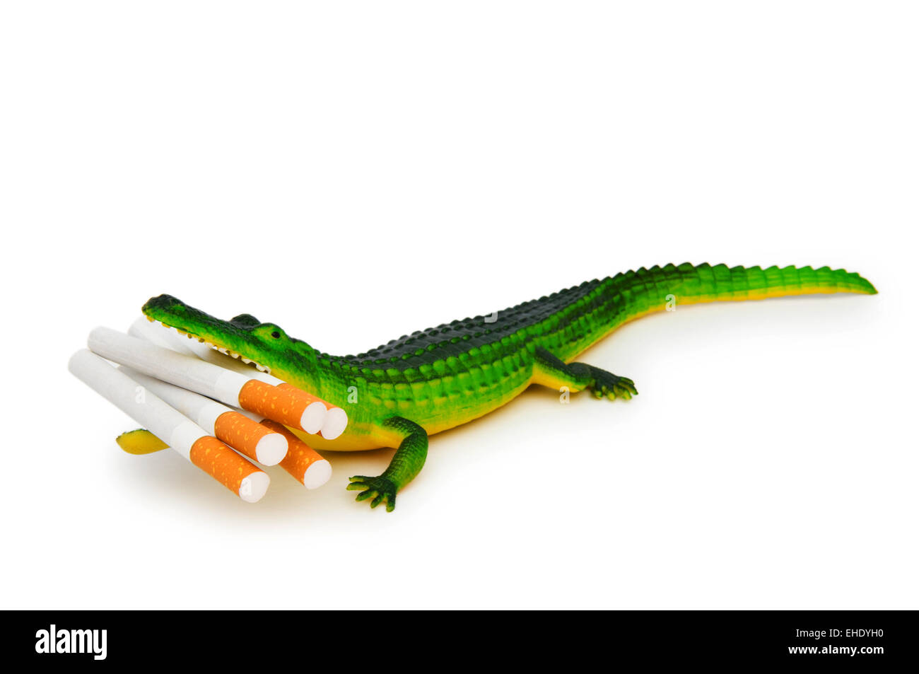 Crocodile with cigarettes isolated on white Stock Photo - Alamy