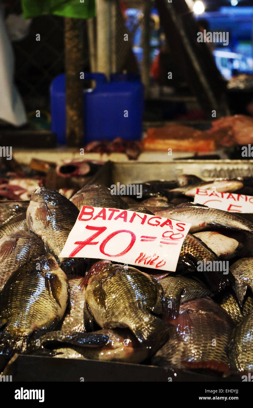 fish on sale Stock Photo - Alamy