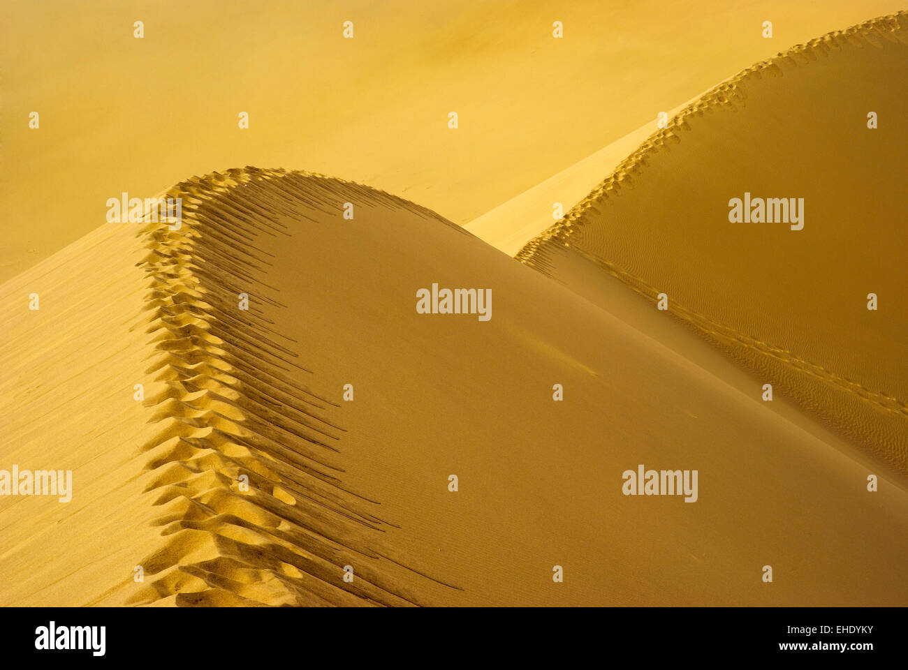 Footprint path on Sand Dune Stock Photo - Alamy