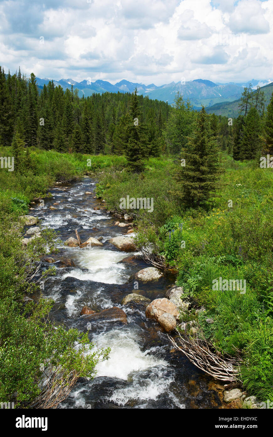 Mountain river and forest Stock Photo - Alamy