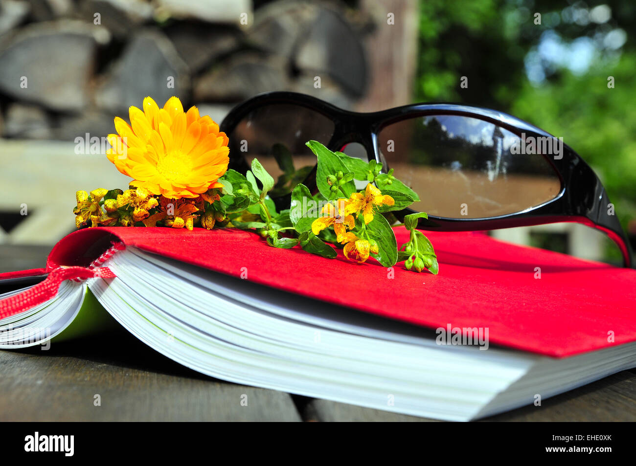 Book Summer Sunglasses Stock Photo - Alamy