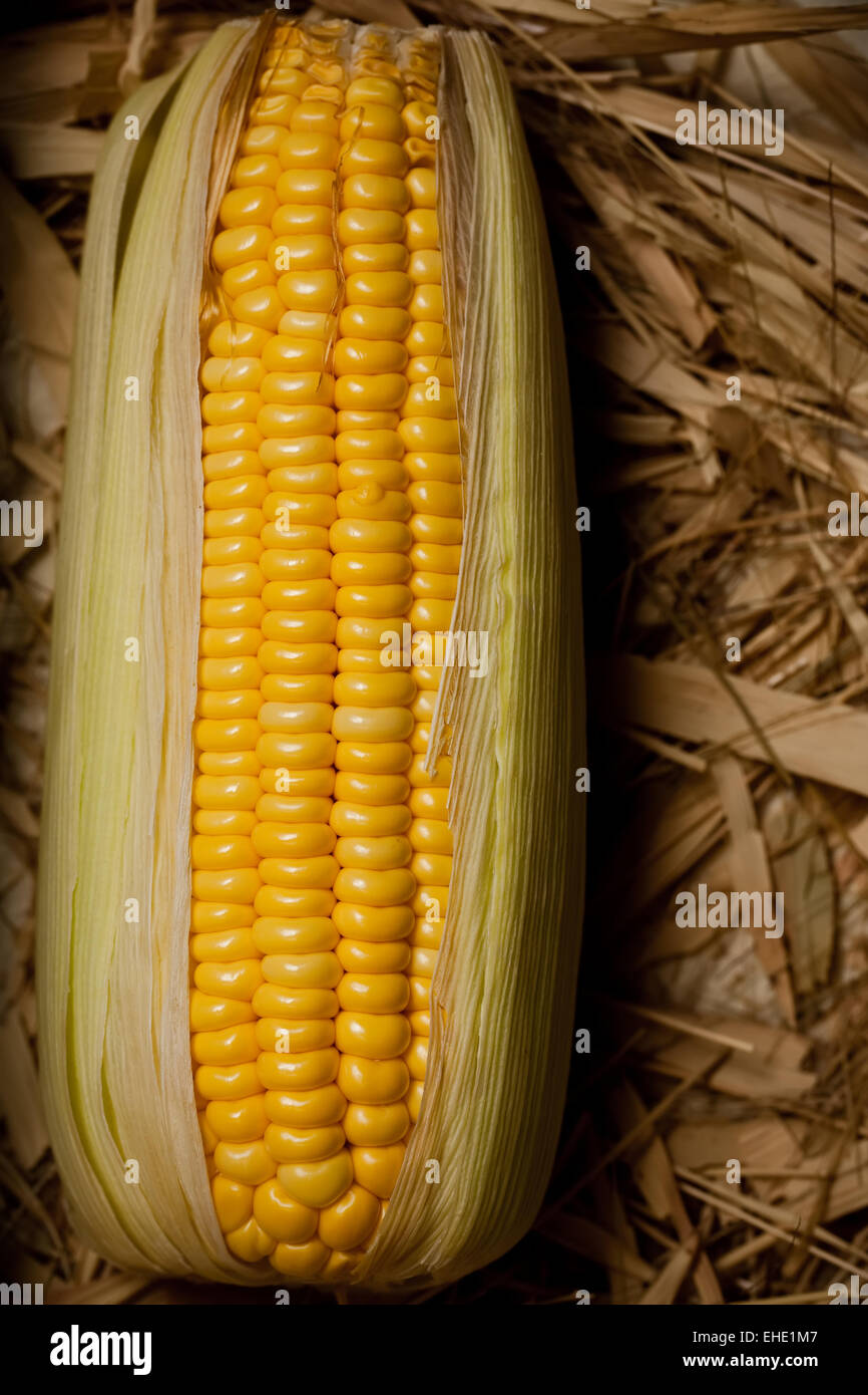 Corn uneven hi-res stock photography and images - Alamy