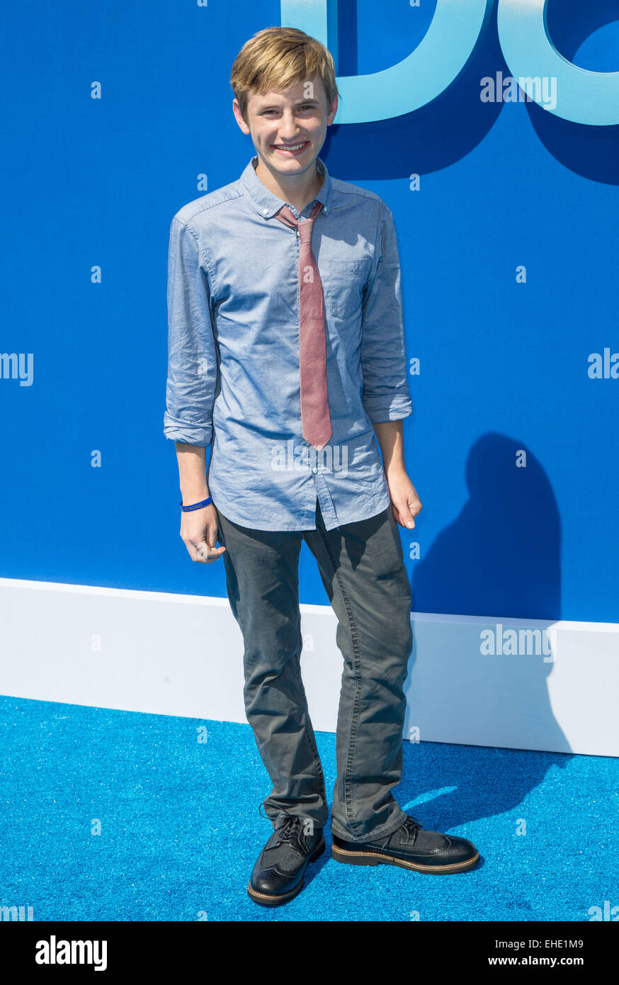 Dolphin Tale 2' world premiere at Regency Village Theater in Los ...