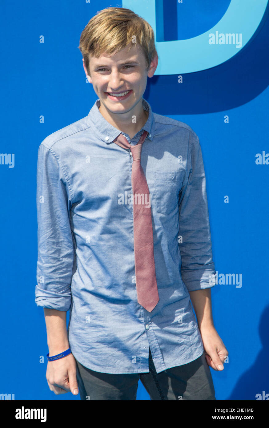 Dolphin Tale 2' world premiere at Regency Village Theater in Los ...