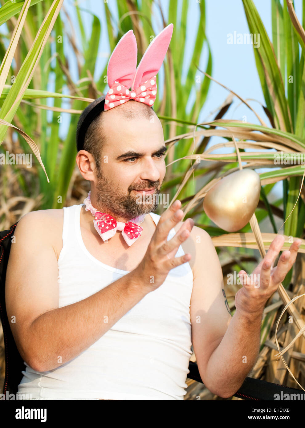 Happy rabbit hi-res stock photography and images - Alamy