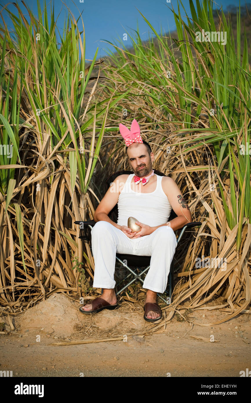 Angry rabbit hi-res stock photography and images - Alamy