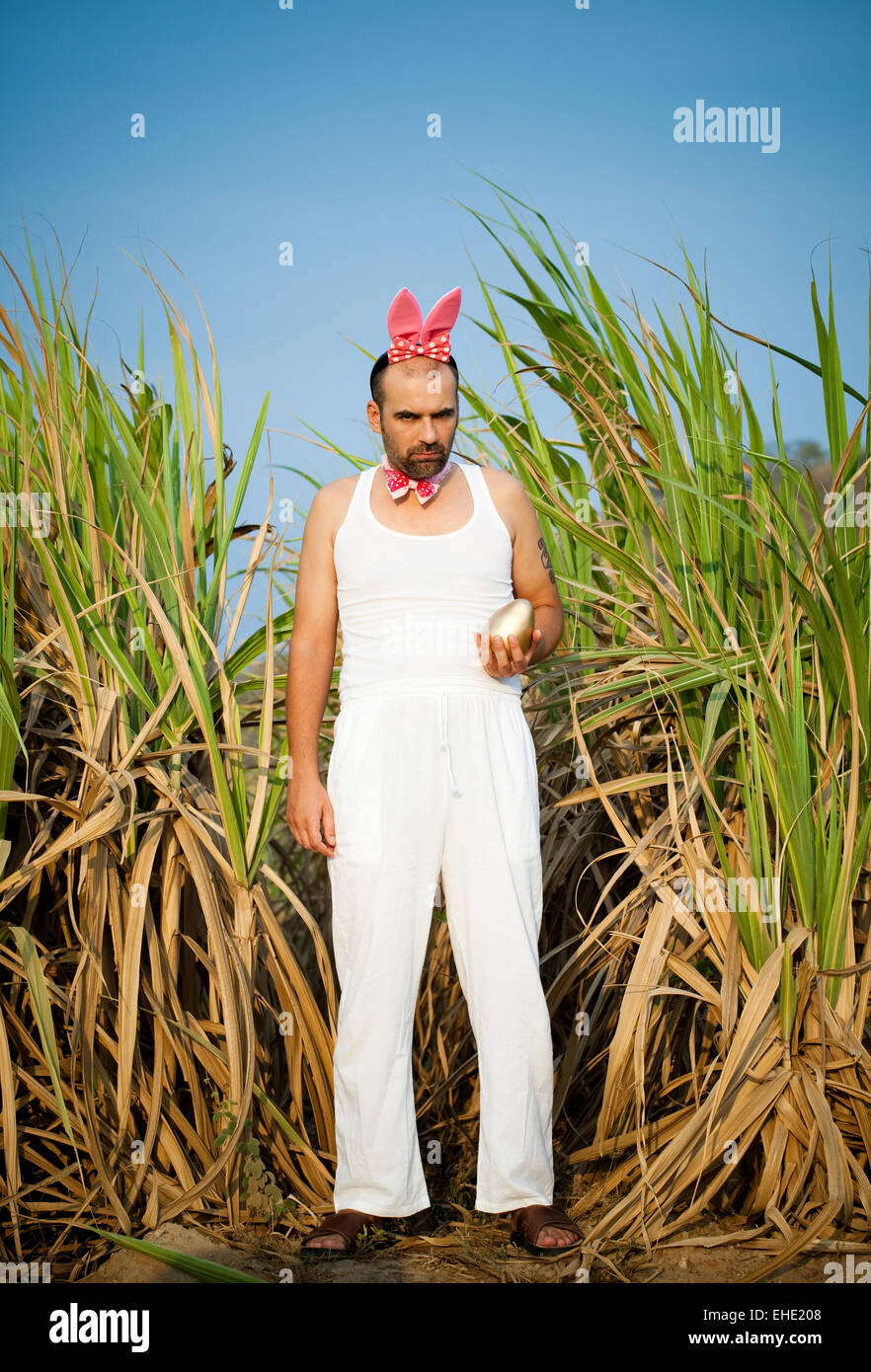 Angry rabbit hi-res stock photography and images - Alamy