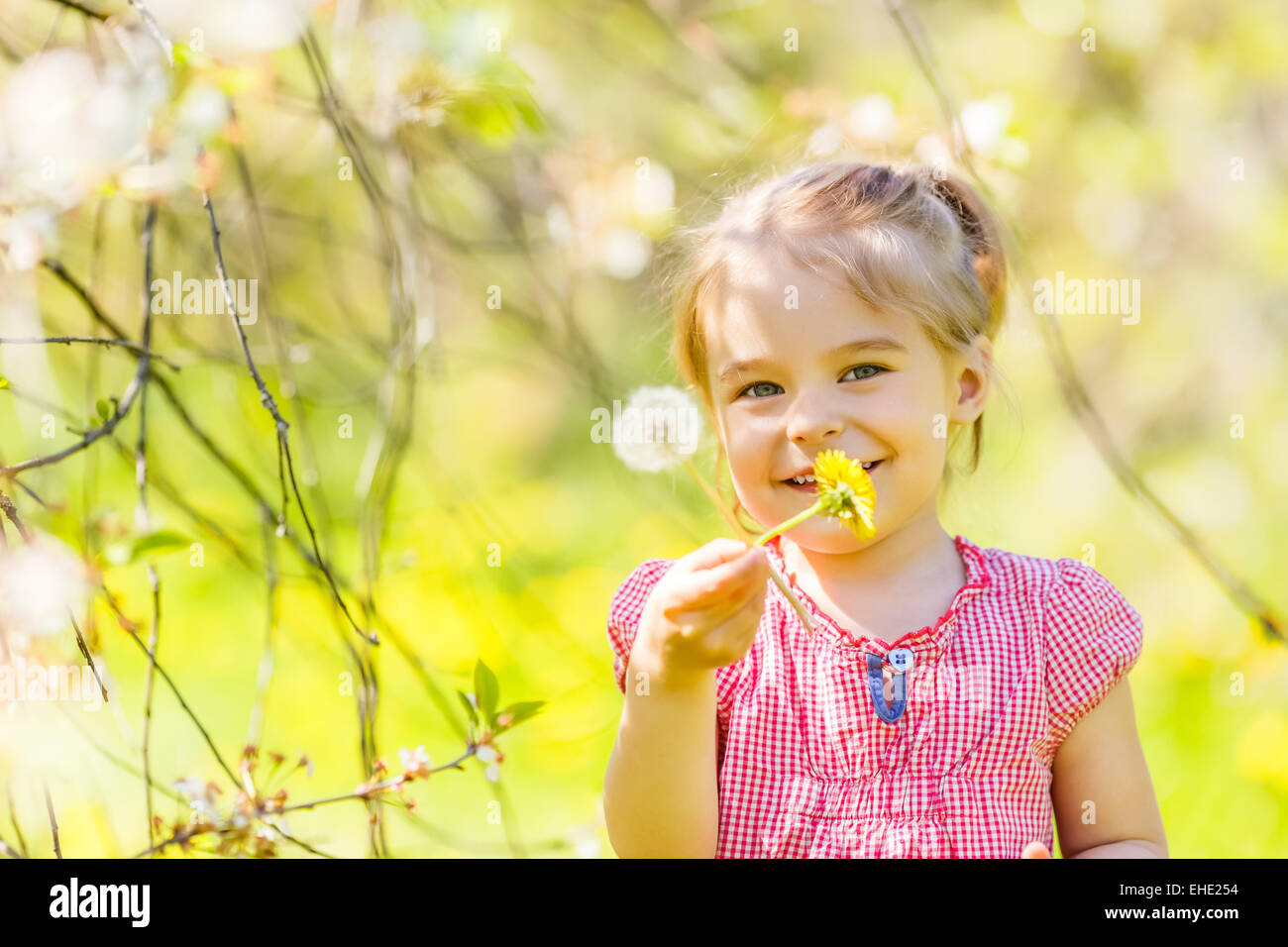 Happy little girl in spring sunny park Stock Photo - Alamy