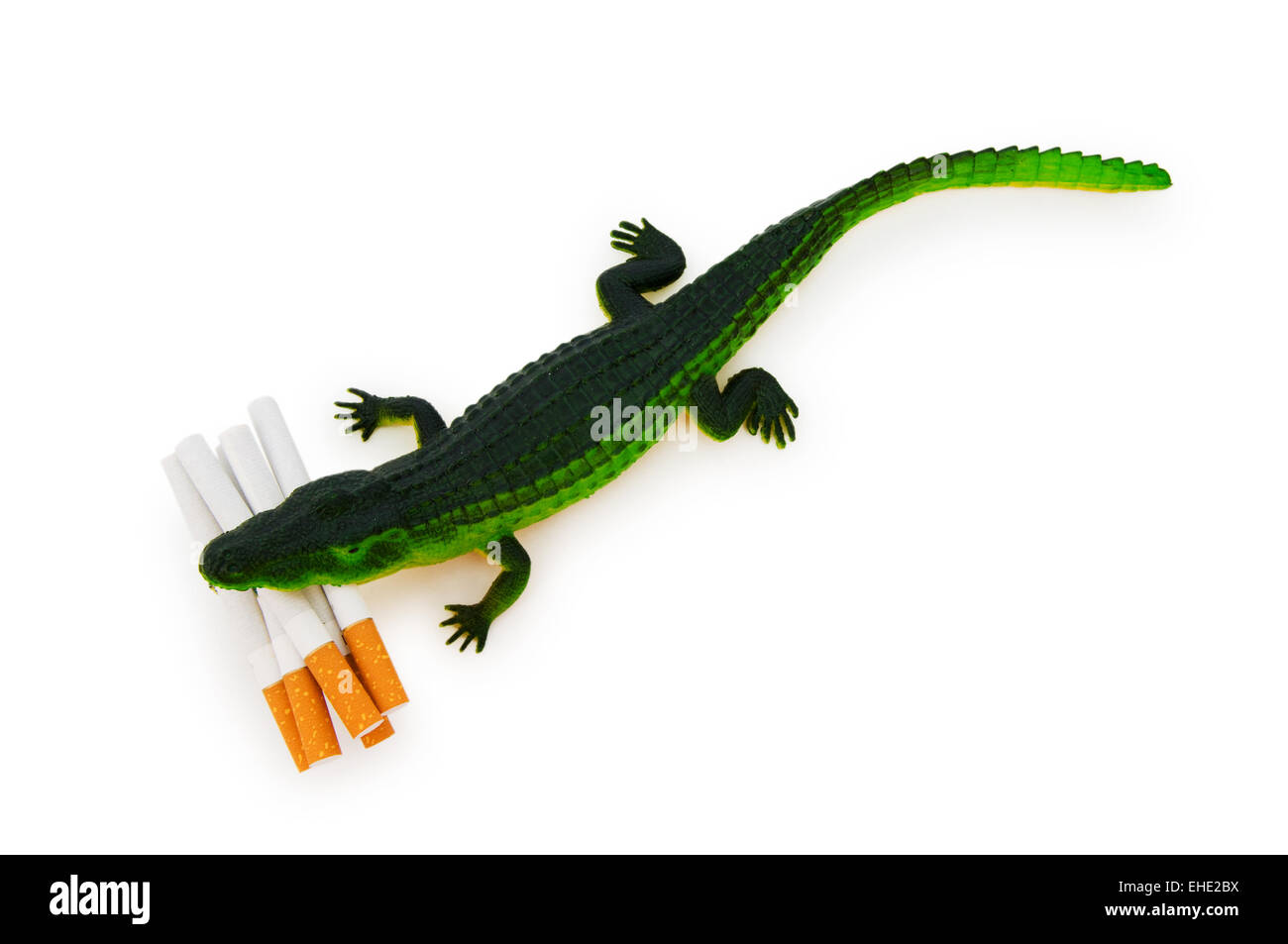 Crocodile with cigarettes isolated on white Stock Photo - Alamy