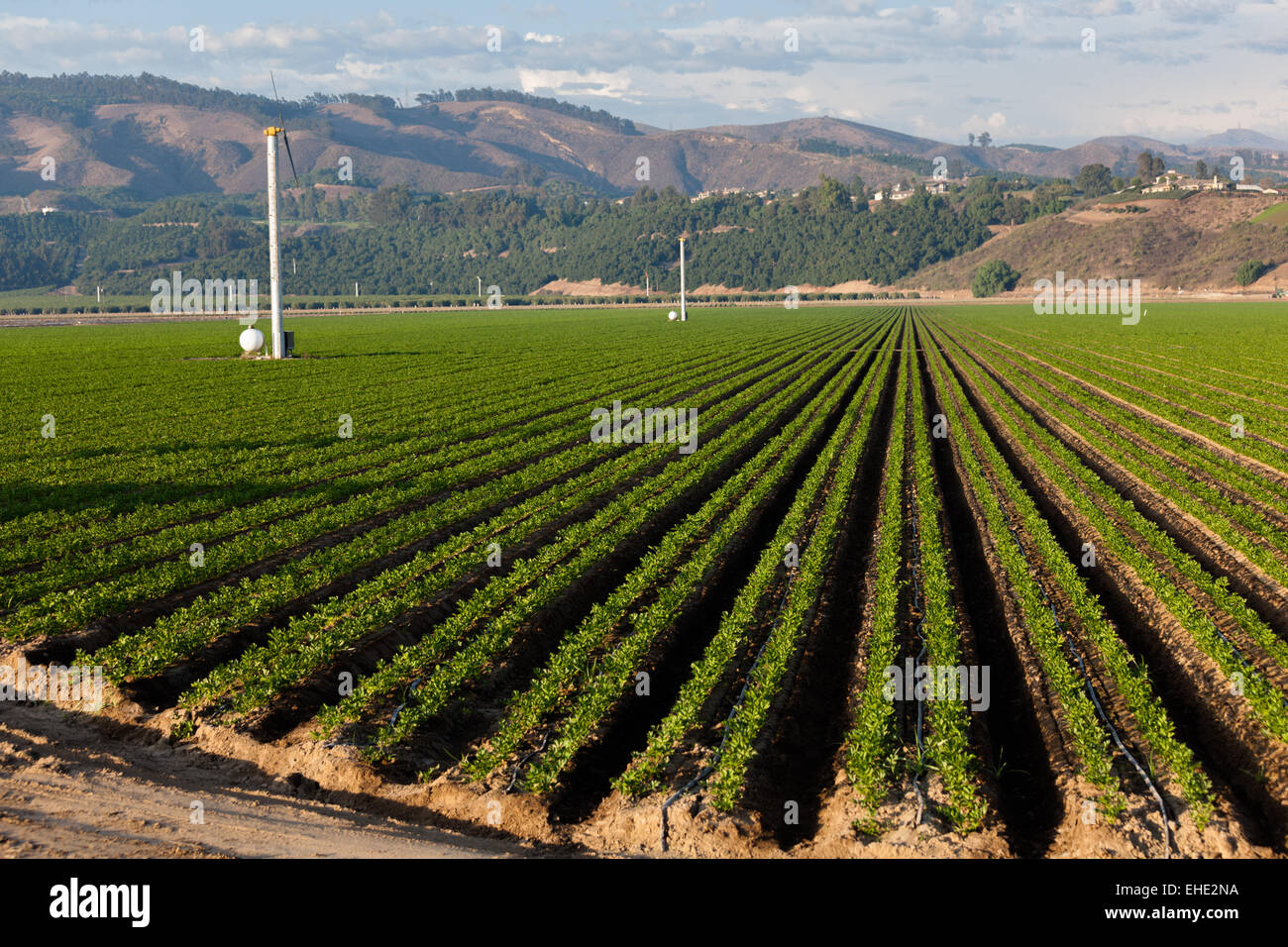 California farm field sky hi-res stock photography and images - Alamy