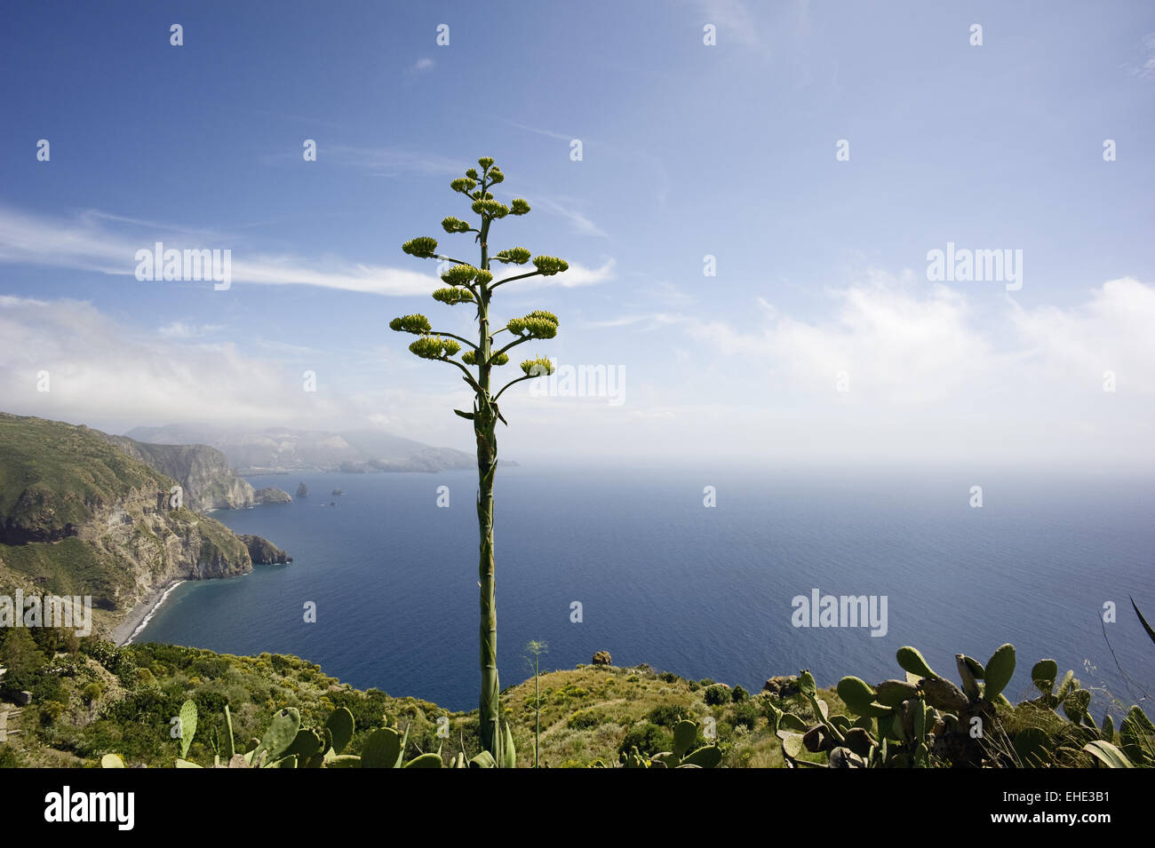 Sizilien flora hi-res stock photography and images - Alamy