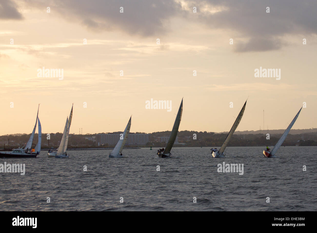 Sailboats approaching the starting line in the Chesapeake Bay Stock ...