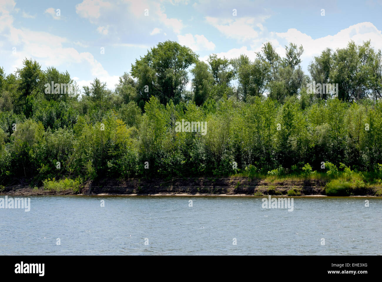 Wood on river coast Stock Photo - Alamy