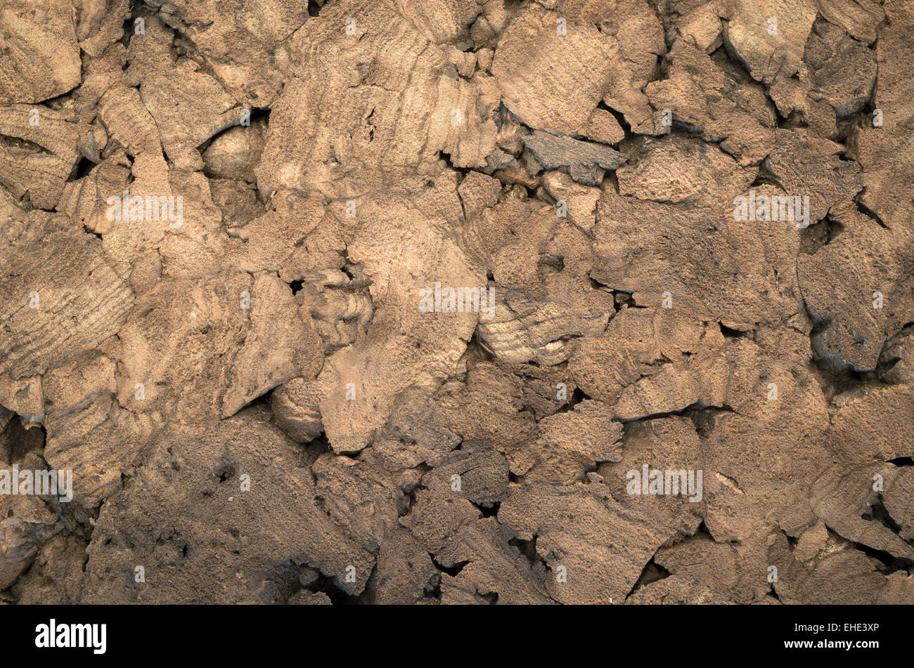 thermal insulating compressed cork panel, close up Stock Photo - Alamy