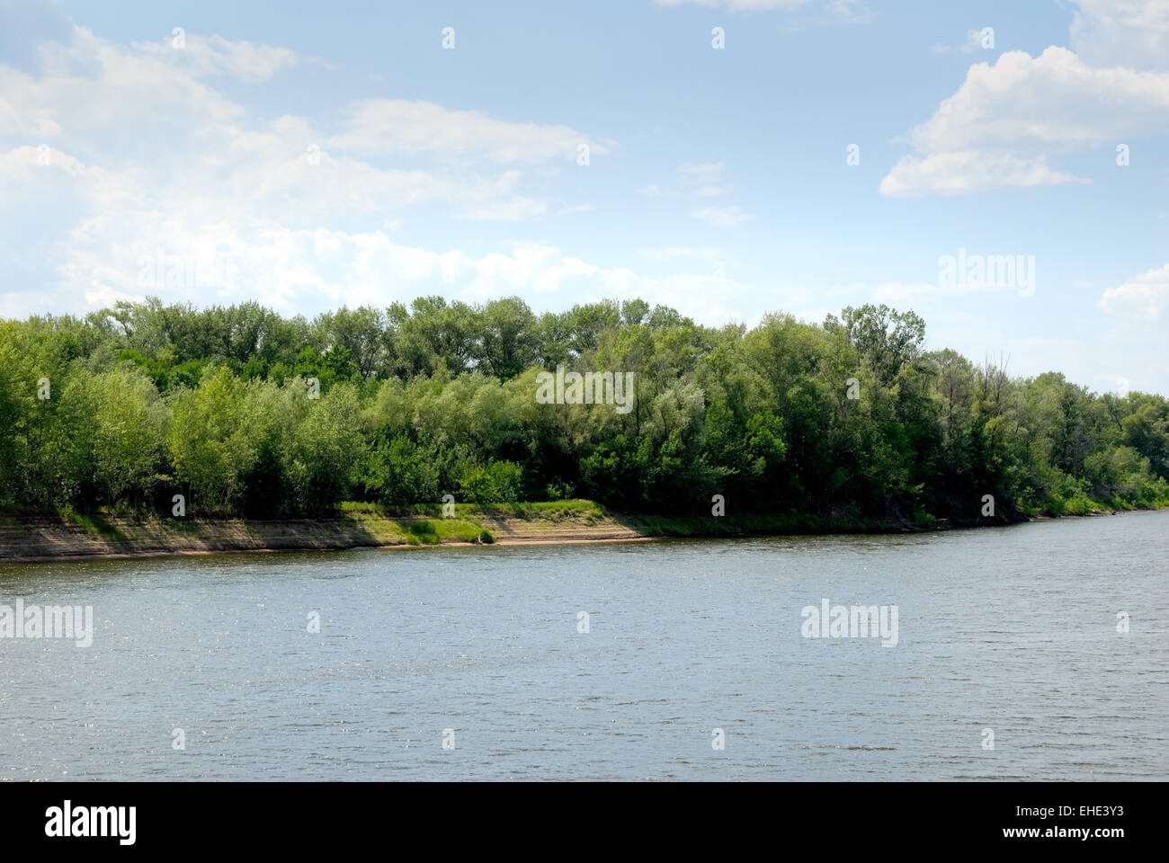 Wood on river coast Stock Photo - Alamy