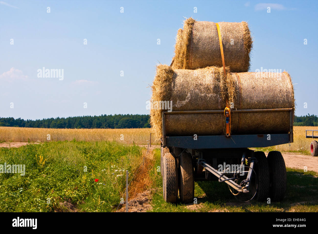 Heuernte ernte hi-res stock photography and images - Alamy