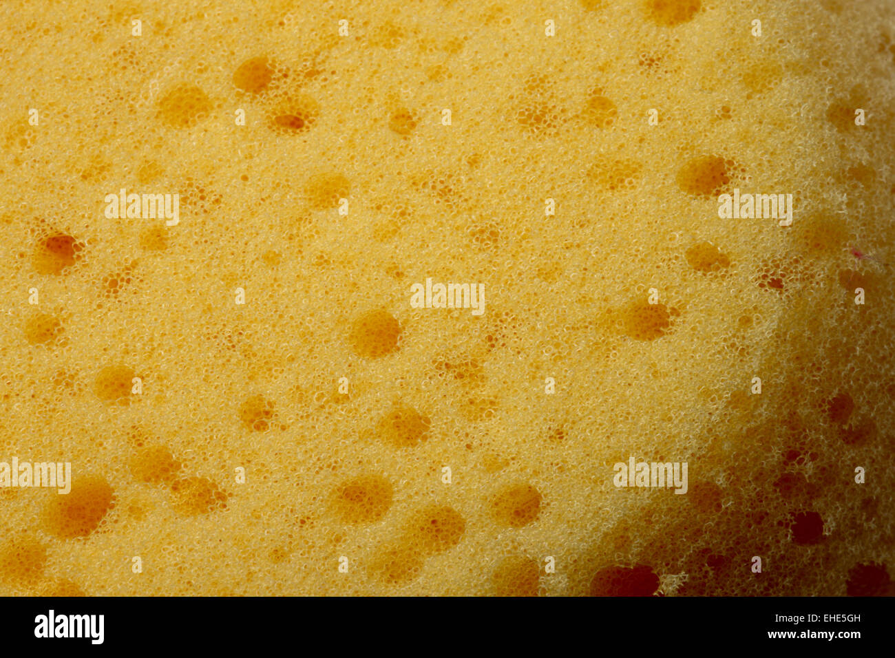 Sponge detail hi-res stock photography and images - Alamy