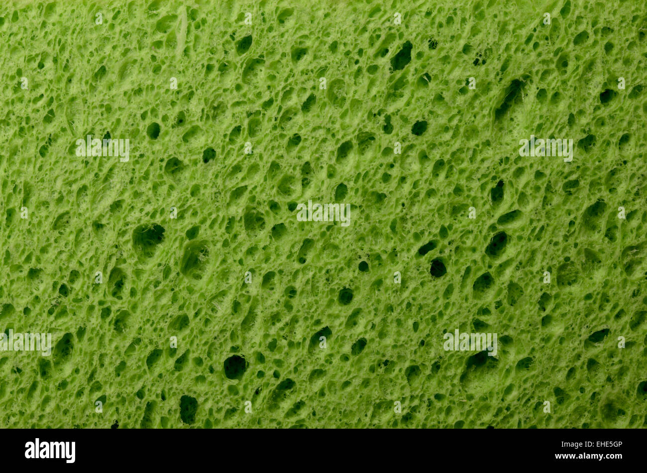 Green porous hi-res stock photography and images - Alamy