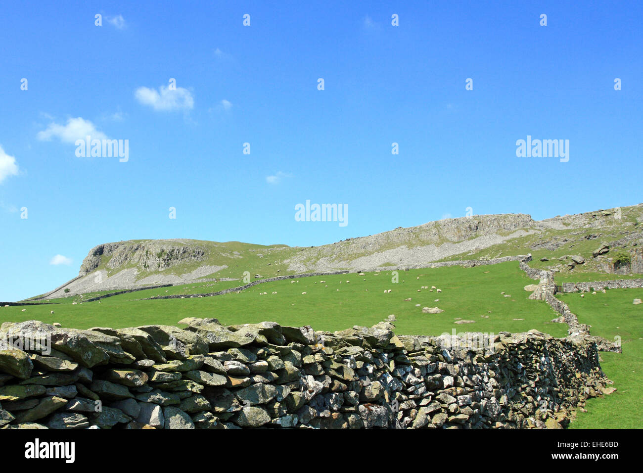 Crummack Dale under blue sky & spring sunshine with Robin Proctor's ...