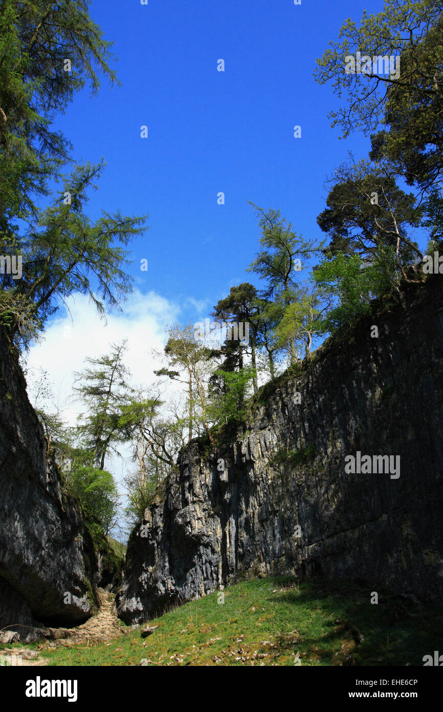 The dramatic cleft of Trow Gill, Yorkshire Dales National Park, UK ...