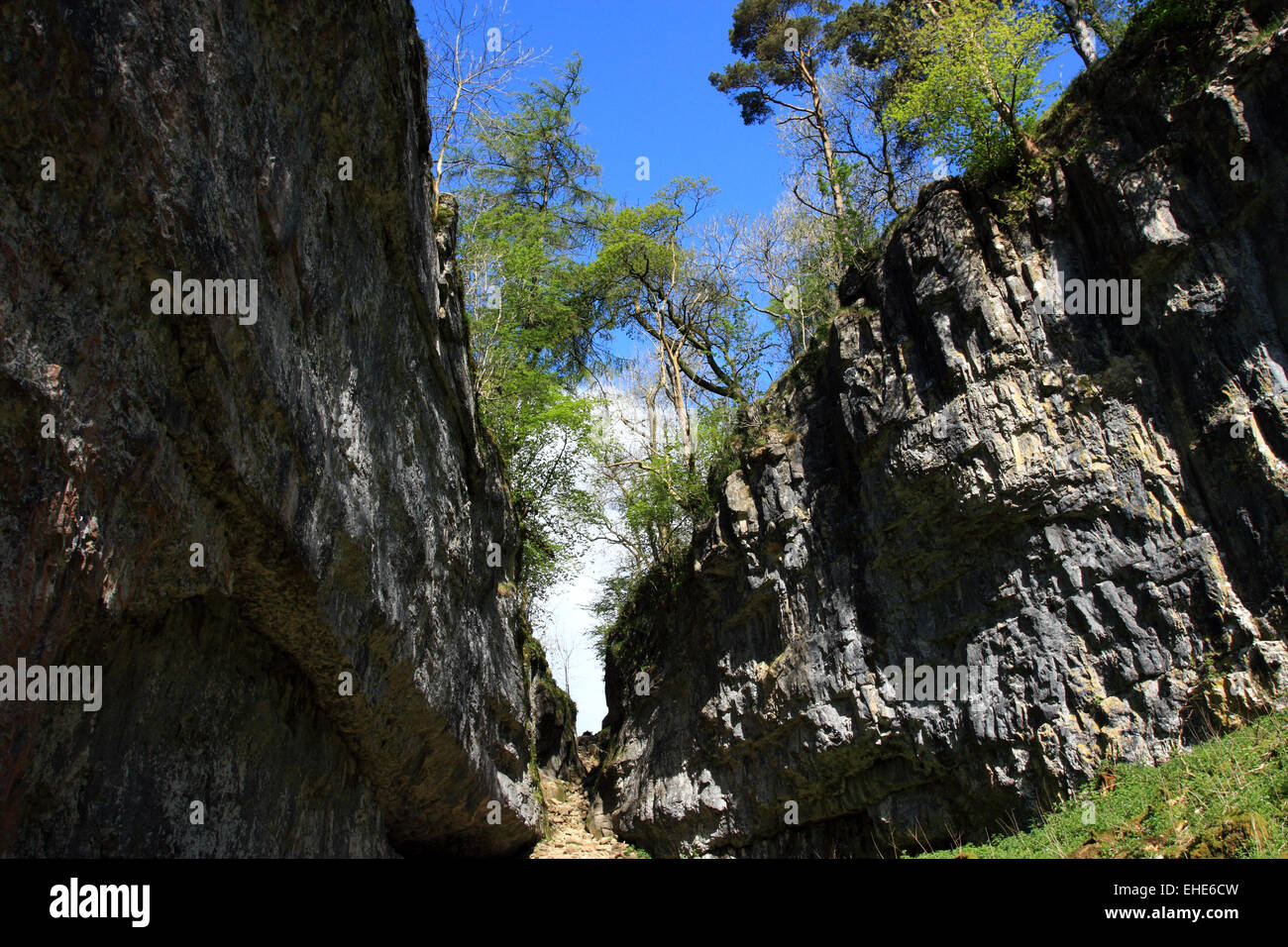 The dramatic cleft of Trow Gill, Yorkshire Dales National Park, UK ...