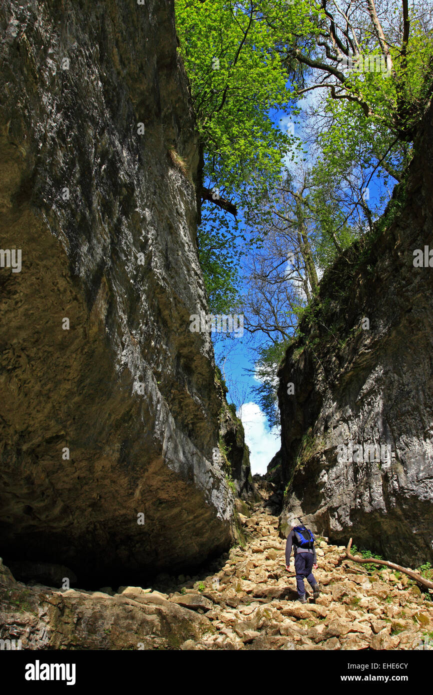 The dramatic cleft of Trow Gill / Yorks Dales NP / Yorkshire / UK Stock ...
