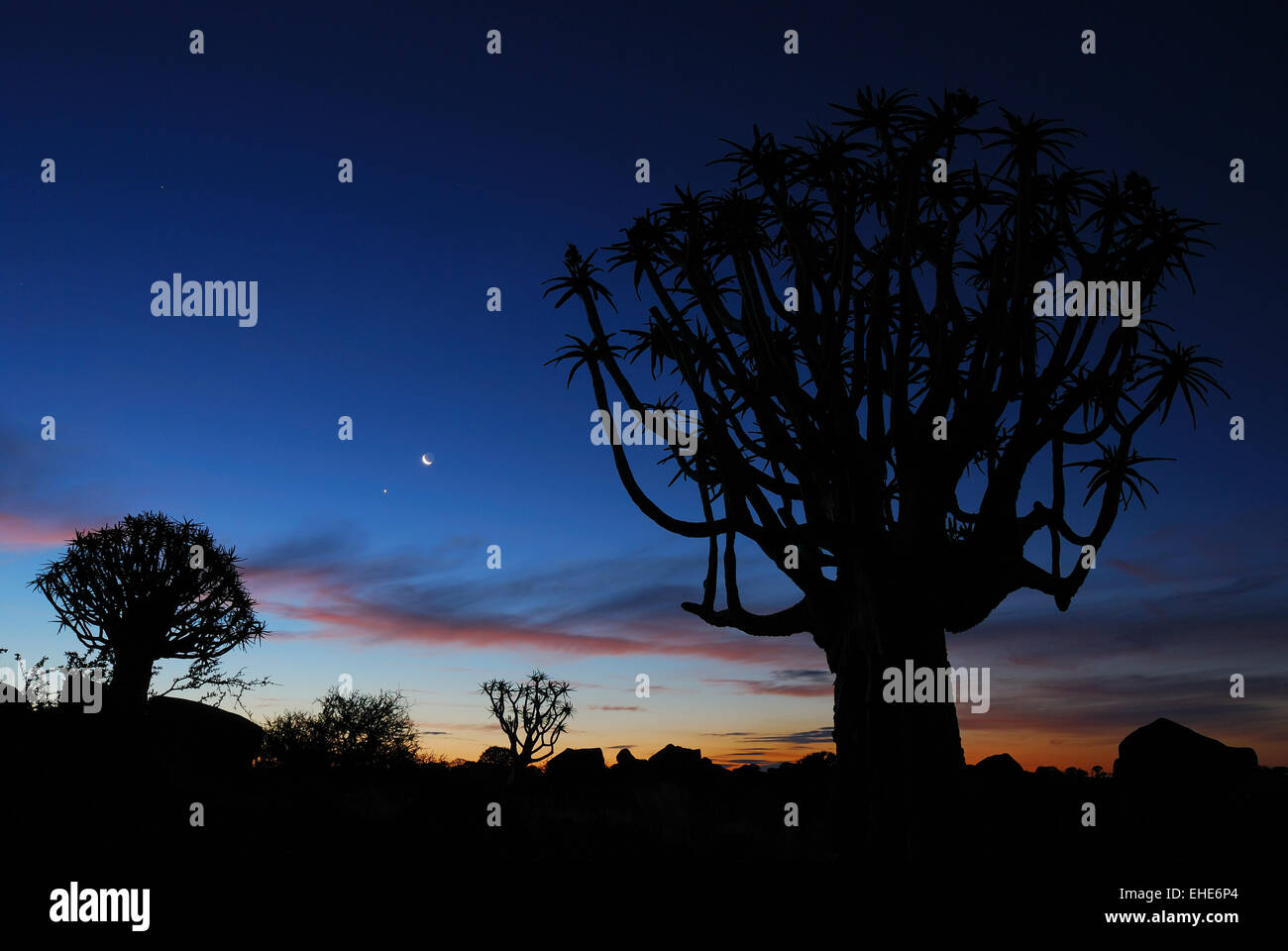 Namibia outline hi-res stock photography and images - Alamy